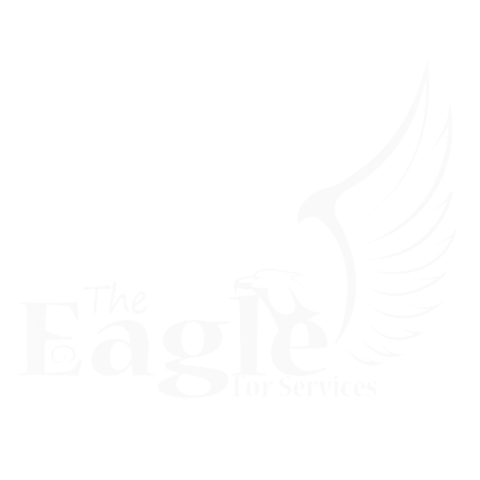 Eagle services company | cleanning sevices | Home page